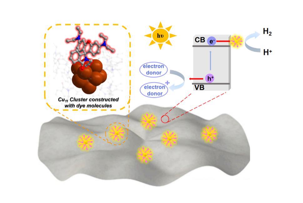 我院功能纳米材料研究团队在国际著名期刊《Chinese Chemical Letters》发表最新研究成果-平顶山学院化学与环境工程学院欢迎您！